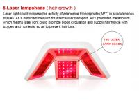 China 650nm Galvanic Nti Hair Growth Therapeutic Laser Hair Growth Machine 50Hz for sale