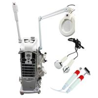 China BIO Esthetician Multifunction Spa Facial Beauty Machine 17 In 1 for sale