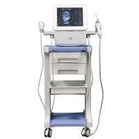 China Skin Rejuvenation 2 In 1 Microneedling Machine Microneedle RF Cold Hammer for sale
