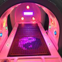 China Beauty Salon Rheumatism Steam Hydrotherapy SPA Capsule OEM ODM for sale
