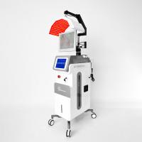 China PDT Therapy Skin Management Instrument 10 In 1 Beauty Machine 273pcs/650nm for sale