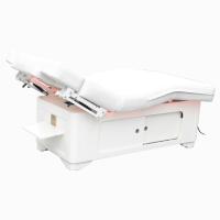 China Facial Salon Beauty Machine Use Cosmetic Electric Treatment for sale
