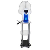 China O2toderm Facial Spray Machine Jet Peel Oxygen Dome Skin Rejuvenation for sale