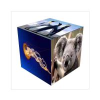 China EDA Colorful Creative LED Display Screen 1RGB P4.81 P3.91 P2.064 P1.875 for sale