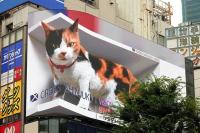 China P3.91 P2.064 P1.875 3D LED Module Screen Advertising 250*250mm for sale