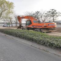 China Doosan DX60W Excavator 5.5 Ton with Low Working Hours and Excellent Condition for sale