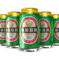 China Standard Stubby Sleek 16oz Empty Aluminum Beer Cans 250ml 330ml 500ml for sale