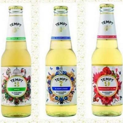 China Danmark TEMPT Recyclable Transparent Glass Drinking Bottle 330ml for sale