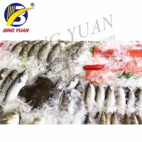 China Automatic flake ice machine for fishery commercial type flake ice maker for sale