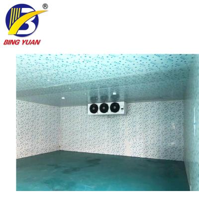 China cold storage room cold room panels polyurethane,fish storage cold room,cold room for sale for sale