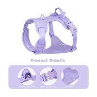 China Lightweight Adjustable Soft Padded Dog Harness With Multiple Colors XS S Size for sale