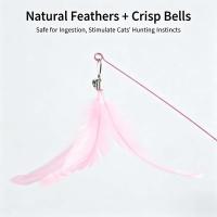 China Suction Retractable Pendant Teaser Wand Steel Wire Interactive Cat Toy With Feather for sale