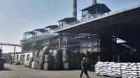 China Customized Activated Carbon Manufacturing Plant Setup 1-5t/Day Columnar Neutral PH for sale