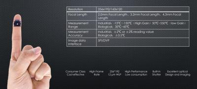 China Drone UAV Thermal Camera Module with 256×192 Resolution and -15℃ to 550℃ Temperature Range for sale