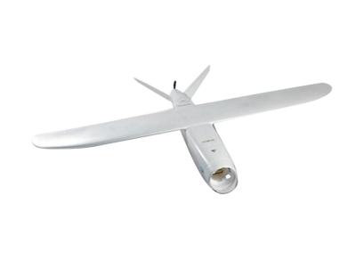 China LOONG M1 Professional Drone with 1kg Payload, 1718mm Wingspan, 60min Flight Time and 120km Range for sale