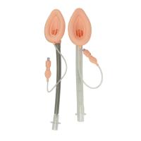 China Silicone Double Lumen Laryngeal Mask Airways Disposable Single Surgical Instruments for sale