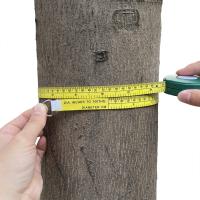 China Wintape 2m Diameter Tape Measure Retractable For Measuring Pipe for sale