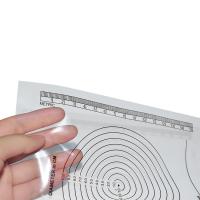 China Disposable PE Plastic Wound Measurement Ruler Transparent 10cm Bullseye Guide for sale
