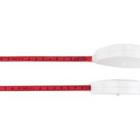 China Wintape 150cm White Heart Tape Measure BMI Body Measuring Tape for Personal Trainers for sale