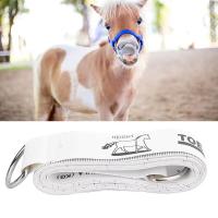 China Equestrian Horse Height and Weight Measuring Tape 2.5M PVC Fiberglass Band for Racing Horses for sale