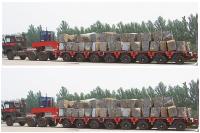 China Hydraulic Bridge Truck Trailer with 500 Tons Capacity and Multi-axle Goldhofer Axles for sale