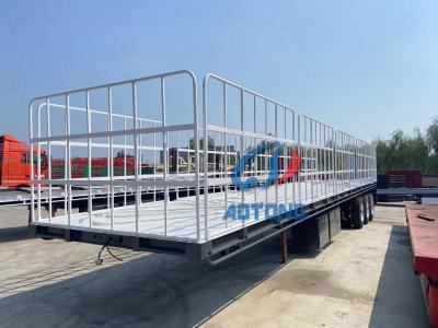China 2x20ft Capacity Shipping Container Semi Trailer In Transportation Industry for sale