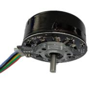 China 3200RPM 30W Explosion Proof 24 Volt BLDC Motor for sale