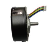 China 3200RPM 30W Explosion Proof 24 Volt BLDC Motor for sale