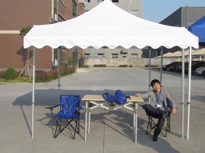 China Camping Exhibitions Mobile Stalls Backyard Waterproof Canopy 10 X 10 Easy Up Tents for sale