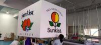 China Round Circle Custom Double Sided Hanging Signs 3.2M Double Printed 120DPI for sale