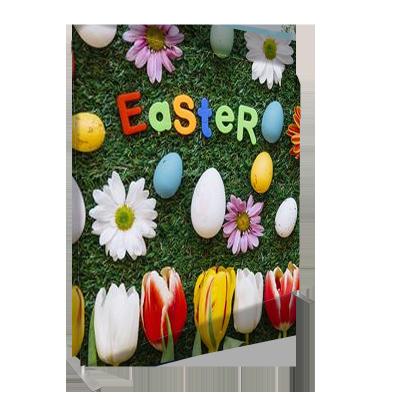 China Stretch Fabric Exhibition Backdrop Trade Show Roll Pull Up Display Booth 8ft 20ft for sale