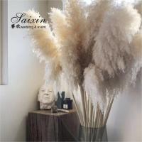 China 130cm Artificial Pampas Grass Wedding Decor - Silk Fabric Flowers in White/Beige Colors for Event Table Arrangements for sale