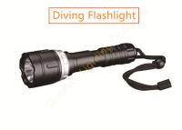 China 550LM Professional Diving Flashlight with CREE T6 LED - 80m Waterproof & 200m Beam Distance for sale