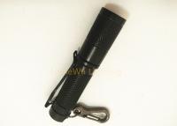 China Cree G2 Mini LED Flashlight 250 Lumen with 30m Beam Range, IP64 Waterproof, 69mm Compact Design for sale