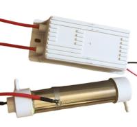 China 110v 2000mg/H Quartz Tube Ozone Generator For Resisting Viruses for sale