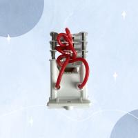 China Electric 32g Plate Ozone Generator 220V Ozone Ceramic Plate for sale