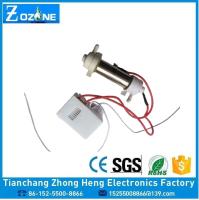 China 200mg Tube Ozone Generator 220v 110v Ozone Tube for sale