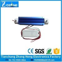 China Water Treatment 10g/Hr Tube Ozone Generator Ozone Quartz Tube for sale