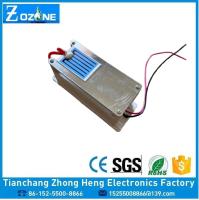 China 12V 1g Ozone Machine Plates Ceramic Ozone Generator for sale