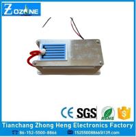 China 12V 1g Ozone Machine Plates Ceramic Ozone Generator for sale