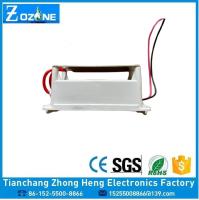 China 12V 1g Ozone Machine Plates Ceramic Ozone Generator for sale