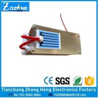 China 12V 1g Ozone Machine Plates Ceramic Ozone Generator for sale