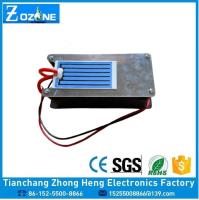 China 2g Generator Ozone Ceramic Plate Portable Ozone Replacement Plates for sale