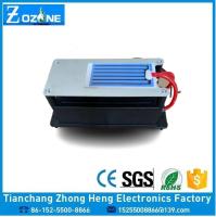 China 2g Generator Ozone Ceramic Plate Portable Ozone Replacement Plates for sale