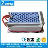China Electric 5g/Hr Plate Ozone Generator Ceramic Ozone Generator Replacement Plates For Odor for sale
