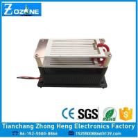 China 7g Odor Removal Ceramic Plate Ozone Generator Air Purifier Ozone Replacement Plates for sale