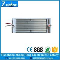 China Office 110V Plate Ozone Generator Ceramic Ozone Plates For Living Air Purifier for sale
