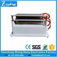 China 15g Long Life Ceramic Ozone Generator Plate Cleaning Ozone Plates For Home for sale