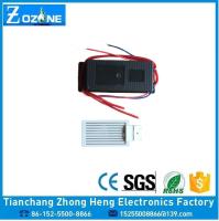 China 3.5g Car Ozone Generator Ozone Machine Plates For Odor Remover Air Purifier for sale