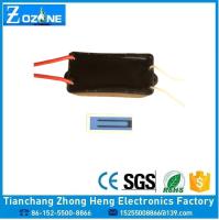 China 200mg Ozone Generator Ozone Ceramic Plate For Odor Remover Air Purifier for sale